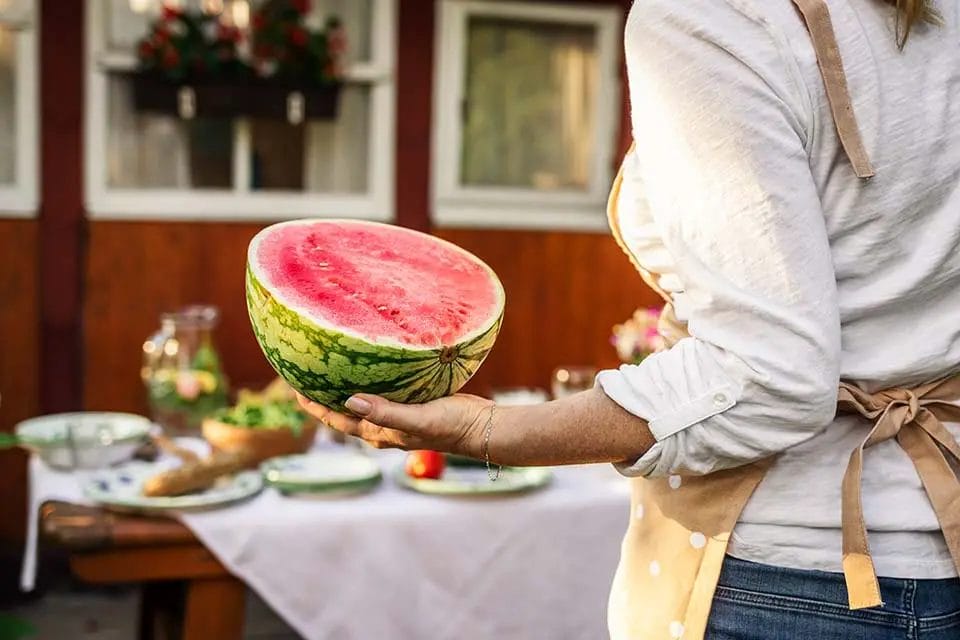 What is the Average Price of Watermelon? [Cost Factors] - Pricing And ...